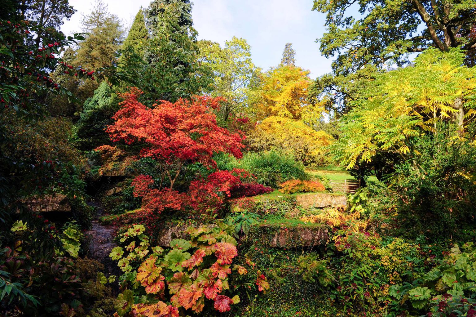 Batsford Arboretum | Discover Cotswolds