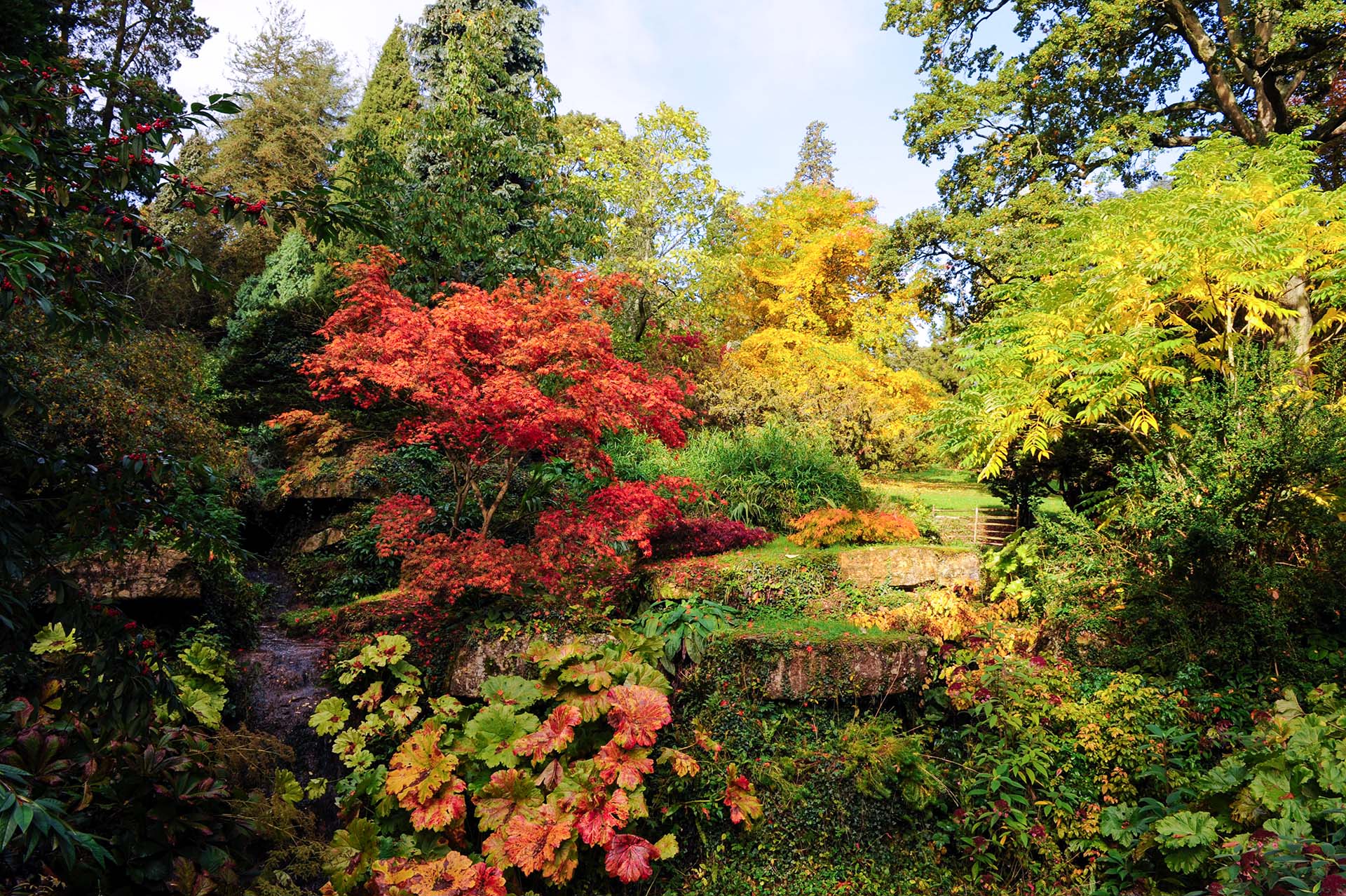 Batsford Arboretum: Cherry Blossoms, Autumn Colour, Wild Gardens